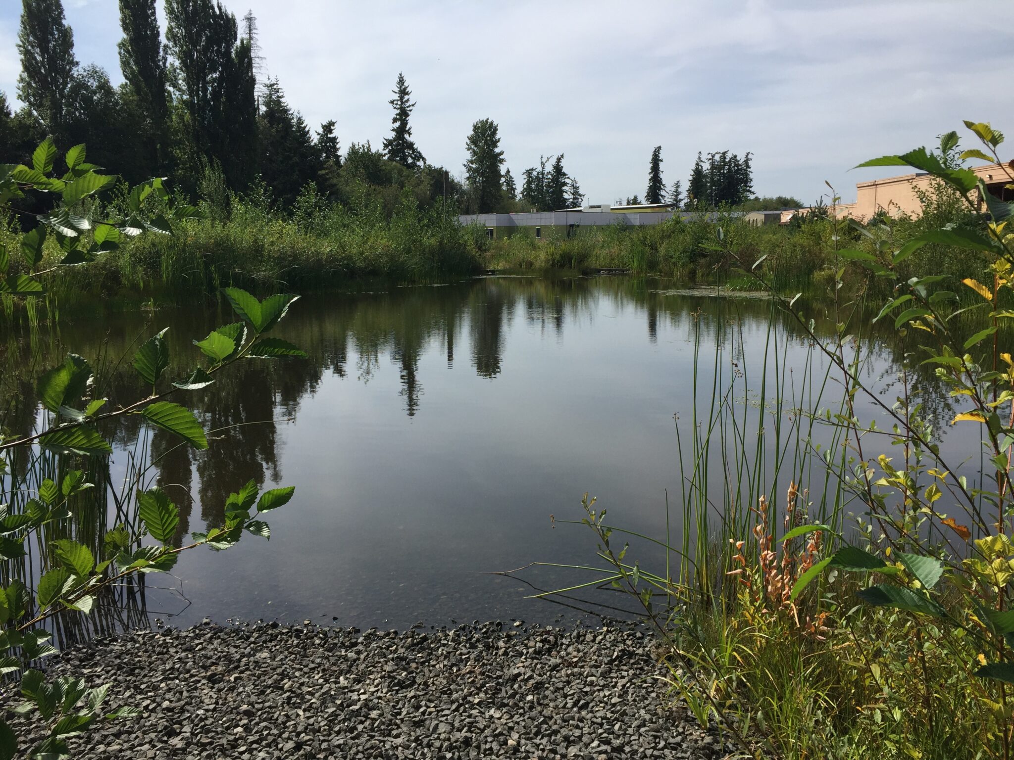 Meet the Landscape Architects of Parametrix - Parametrix