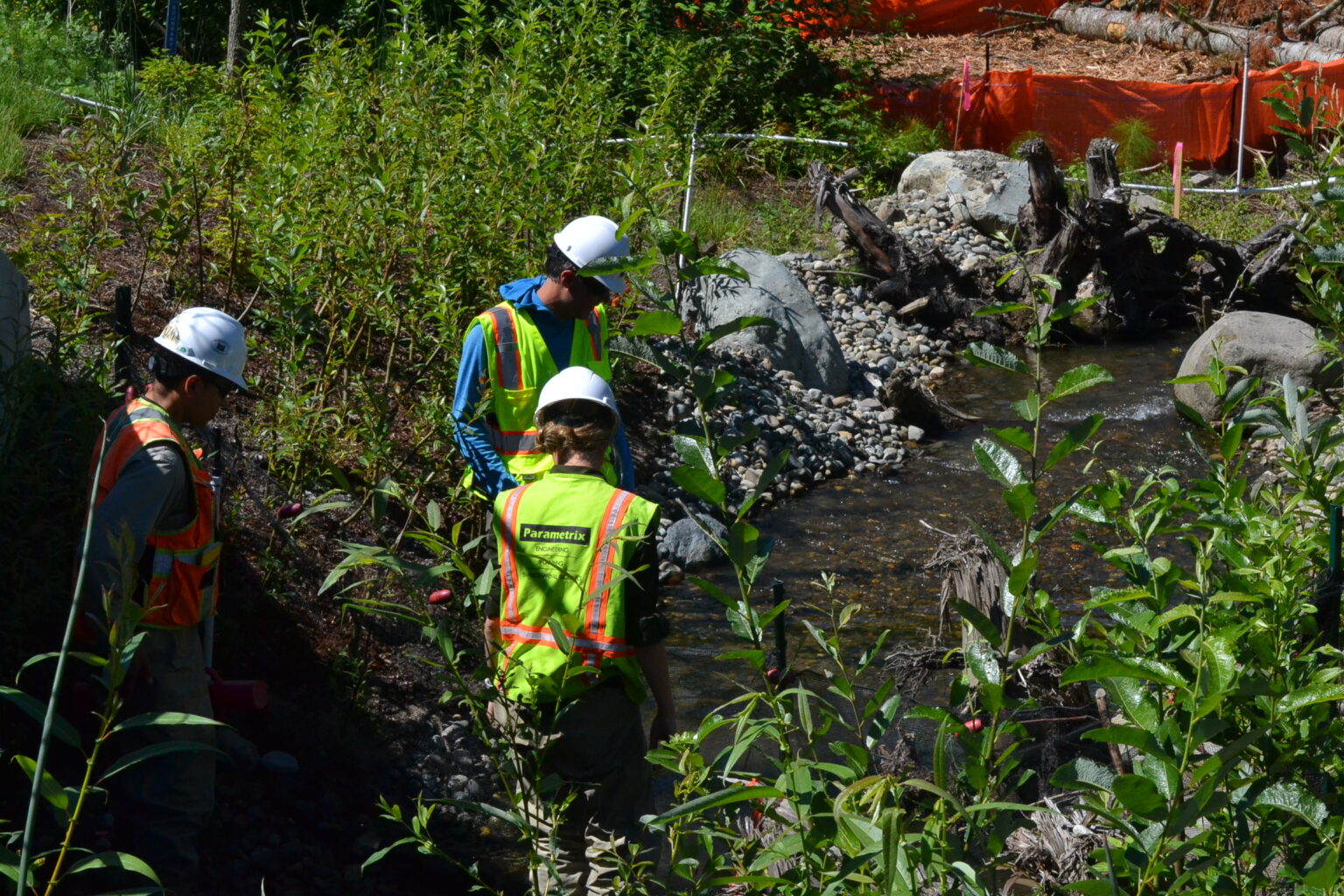 Fish Passage & River Restoration - Parametrix