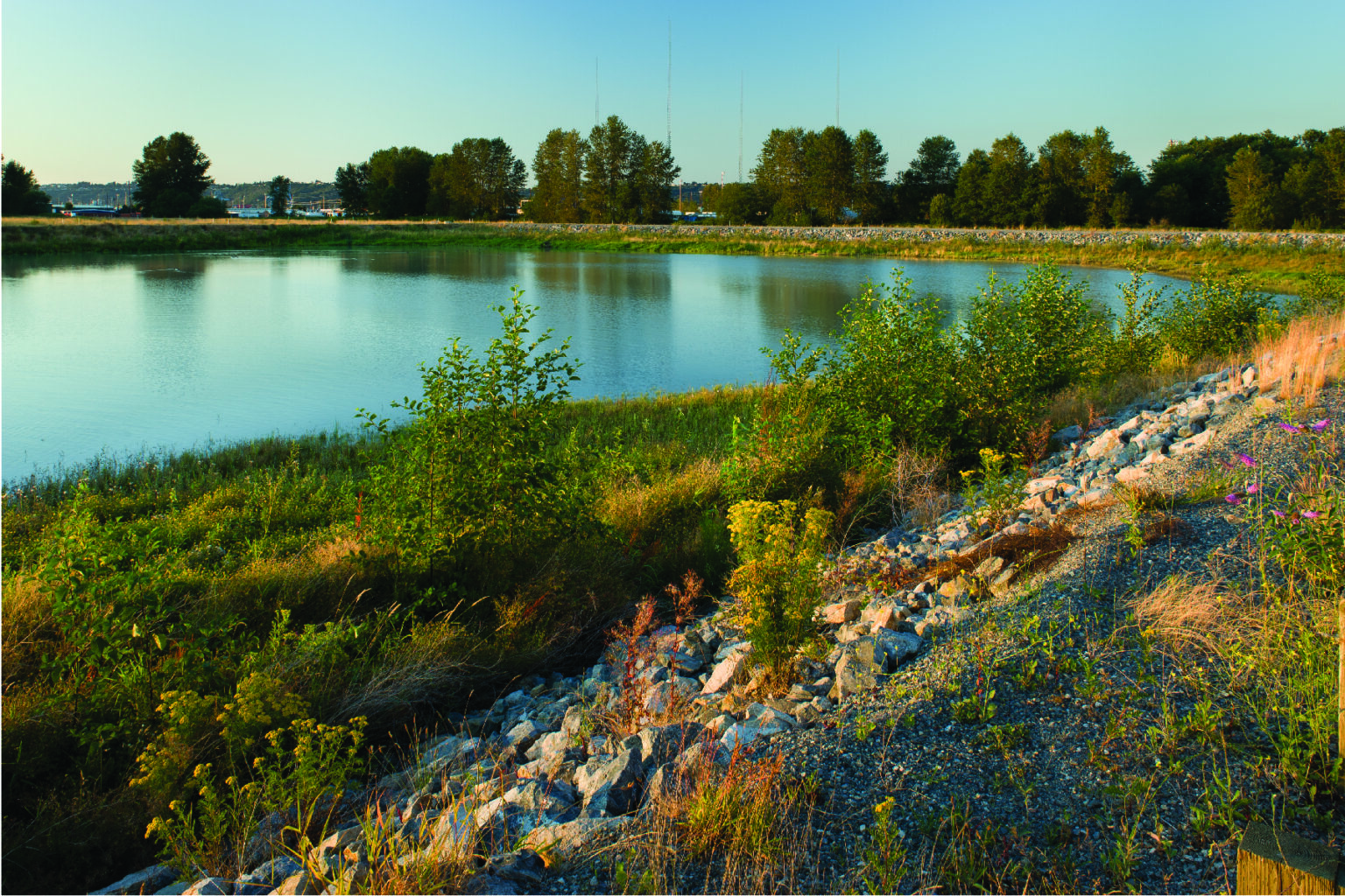 Service & Markets - Parametrix