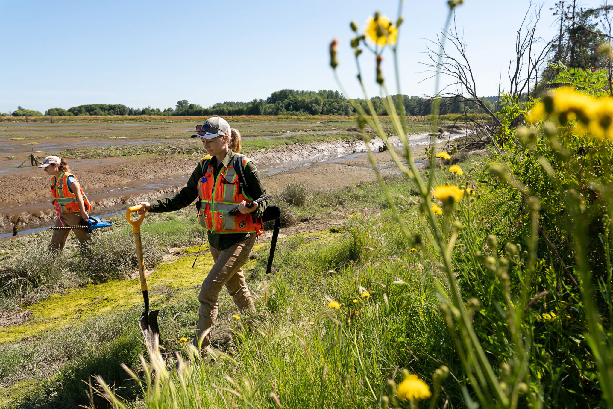 I-5, Tumwater to Mounts Road - Parametrix