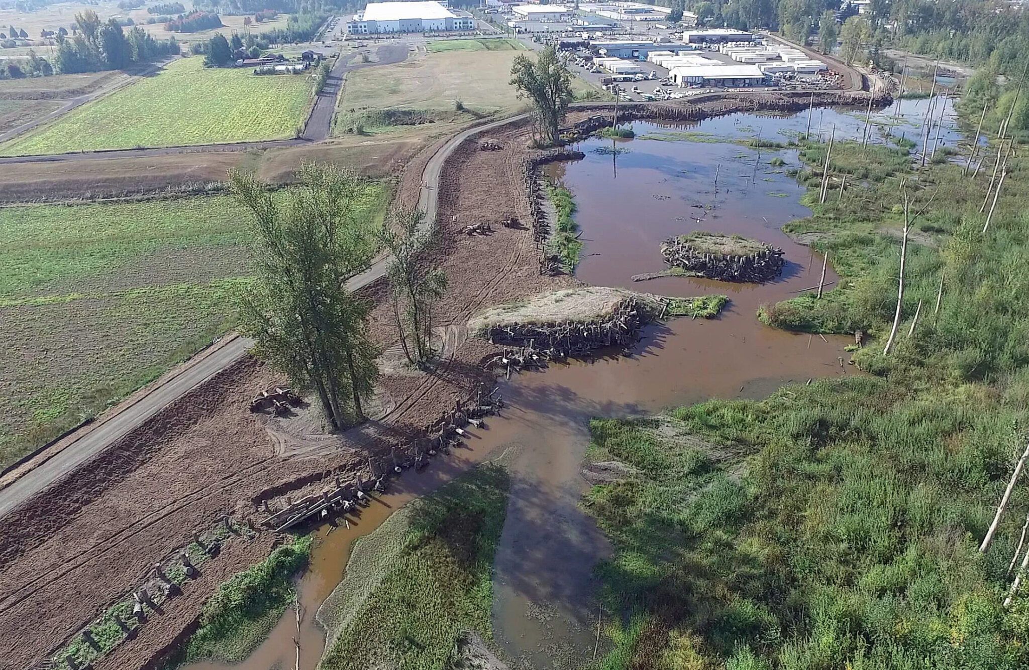 Countyline Setback Levee - Parametrix