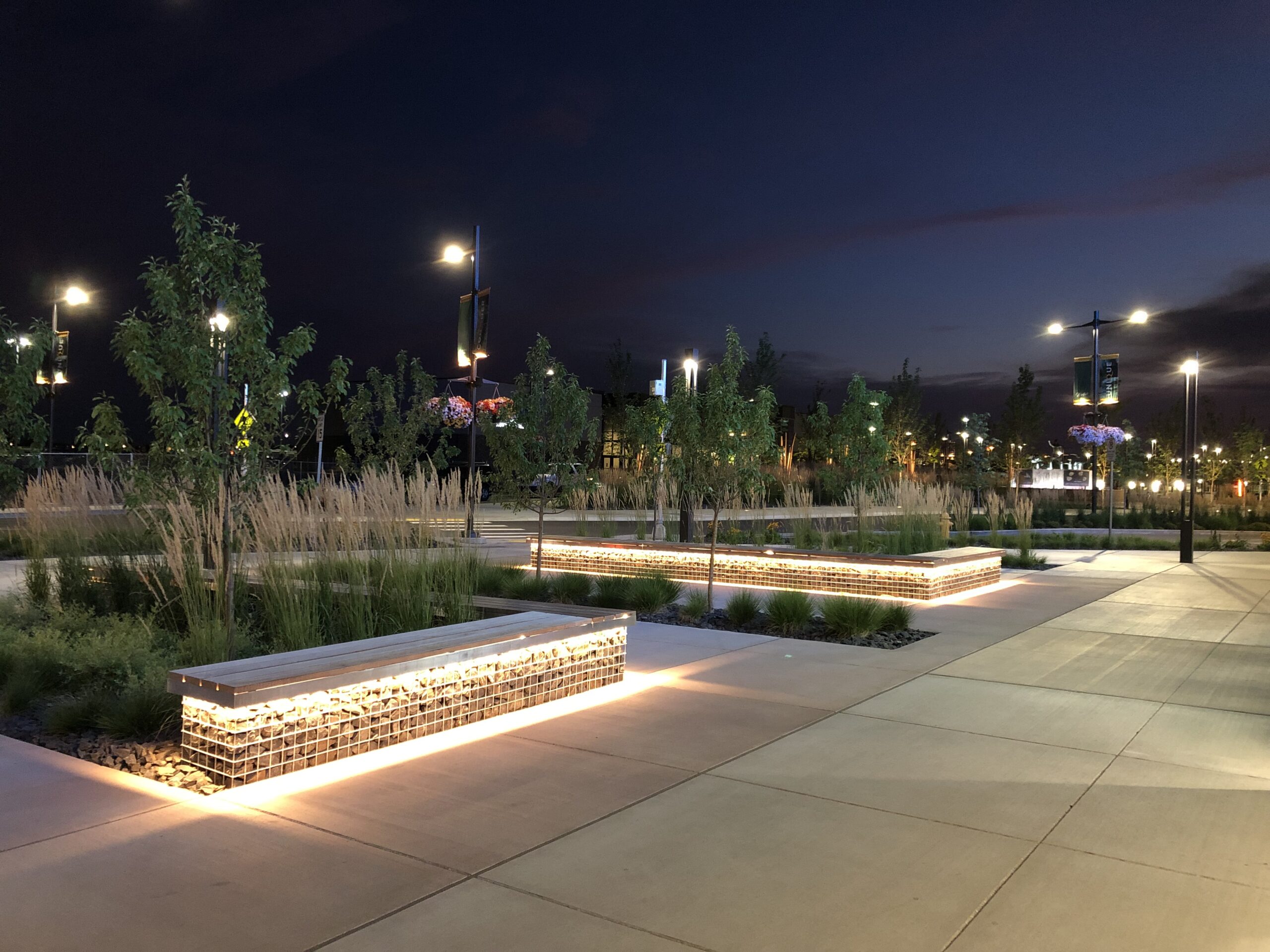 Site Development - Parametrix