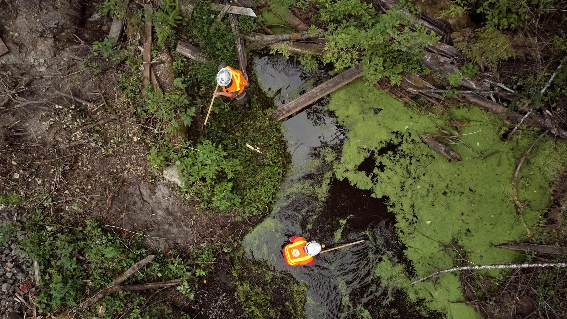 Benefits and Rewards - Parametrix