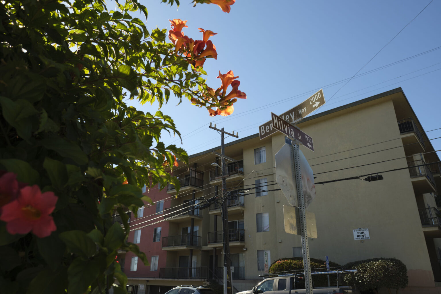 Our Work - Parametrix