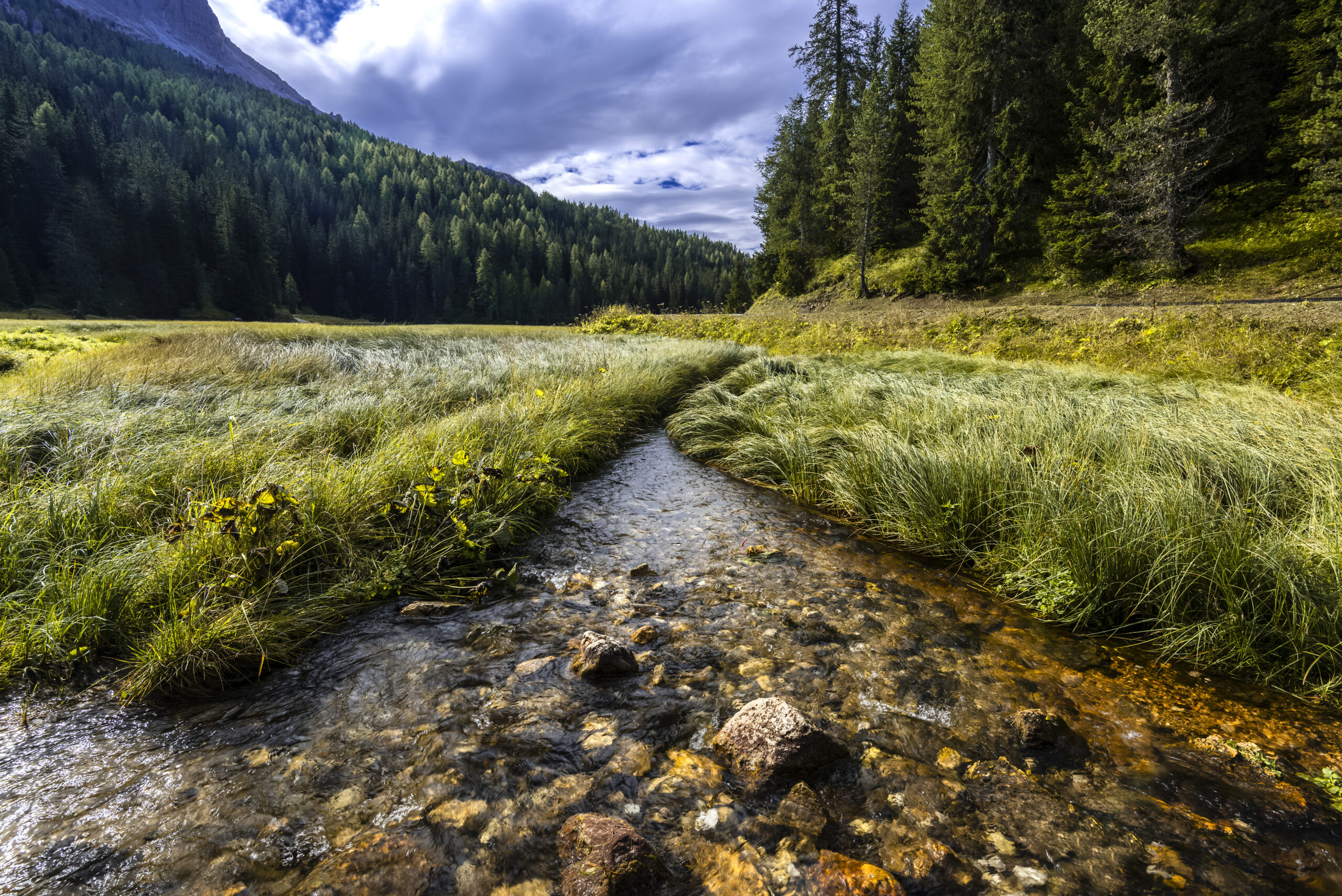 Water Resources - Parametrix