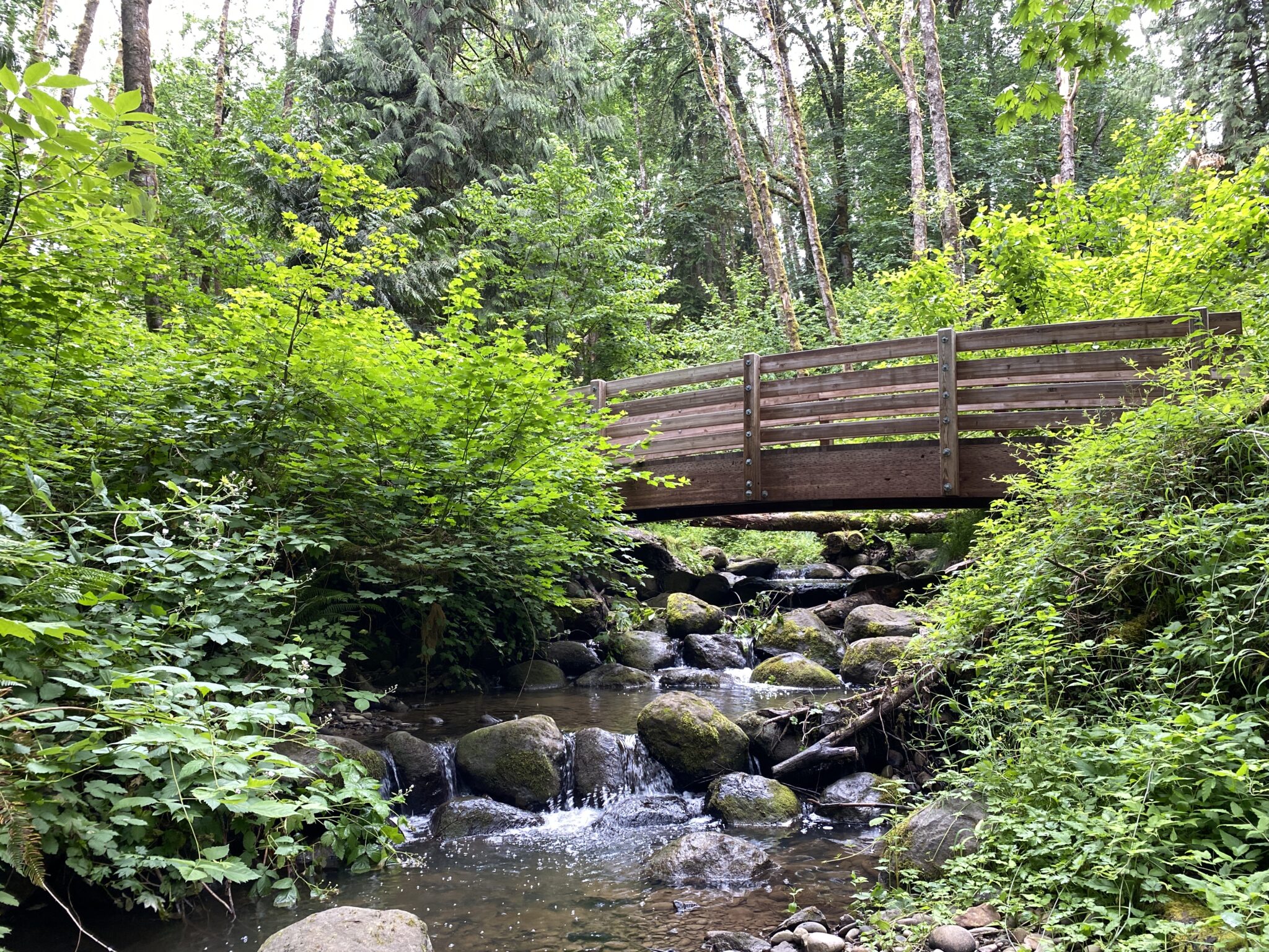 Canopy/Effective Shade Evaluation - Parametrix